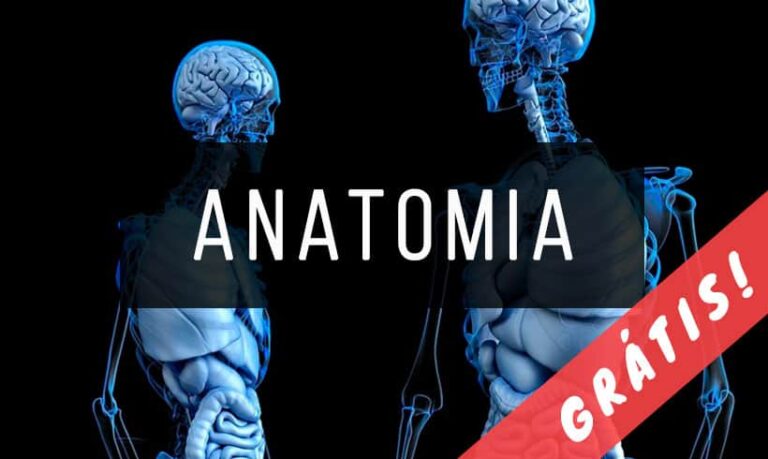 +20 Livros de Anatomia Grátis! [PDF] | InfoLivros.org